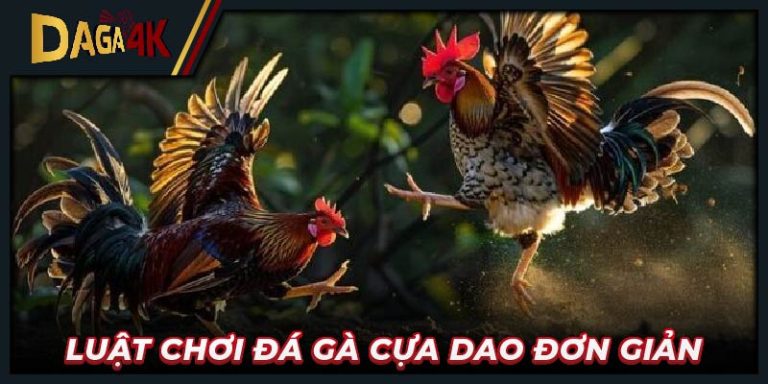 Đá gà cựa dao là gì? Các giống gà nào thường dùng cựa dao?