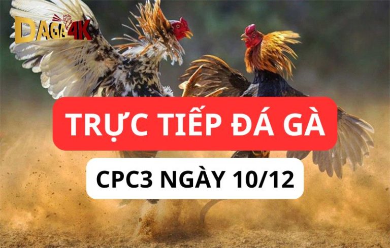 Đá gà trực tiếp thomo campuchia CPC1 | CPC2 | CPC3 | CPC4