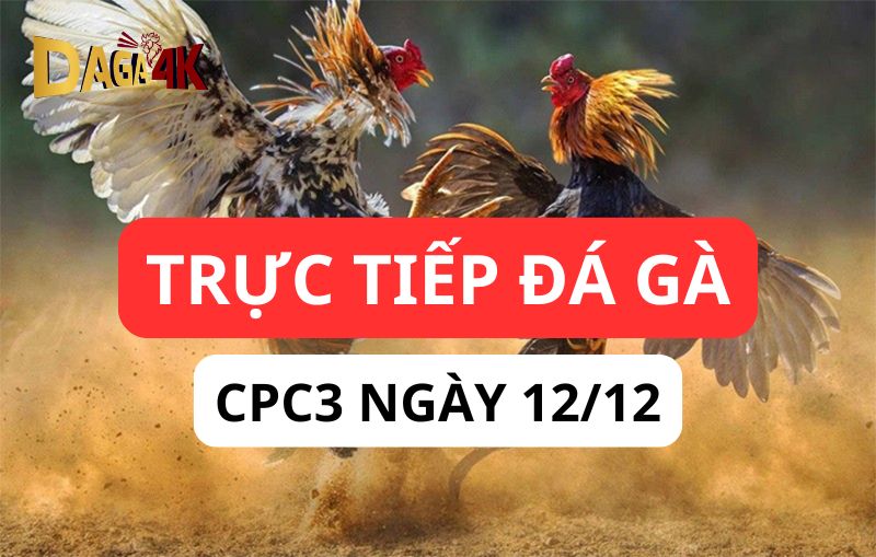Đá gà trực tiếp thomo campuchia CPC1 | CPC2 | CPC3 | CPC4